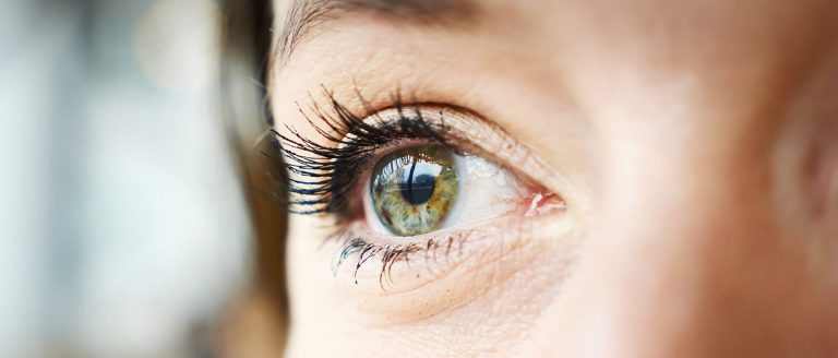 How to Prepare When You Are Going Blind | Blog | IBVI