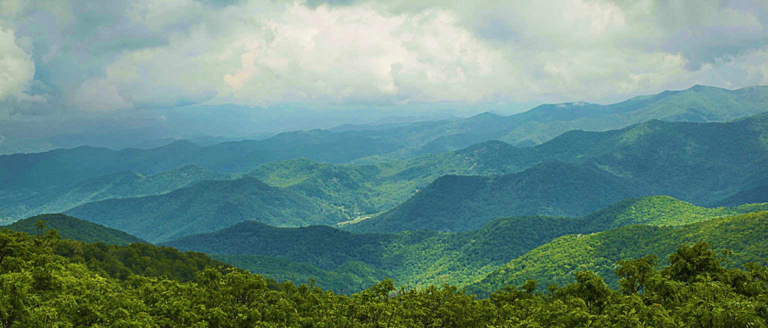 Advocating for Opportunities - IBVI