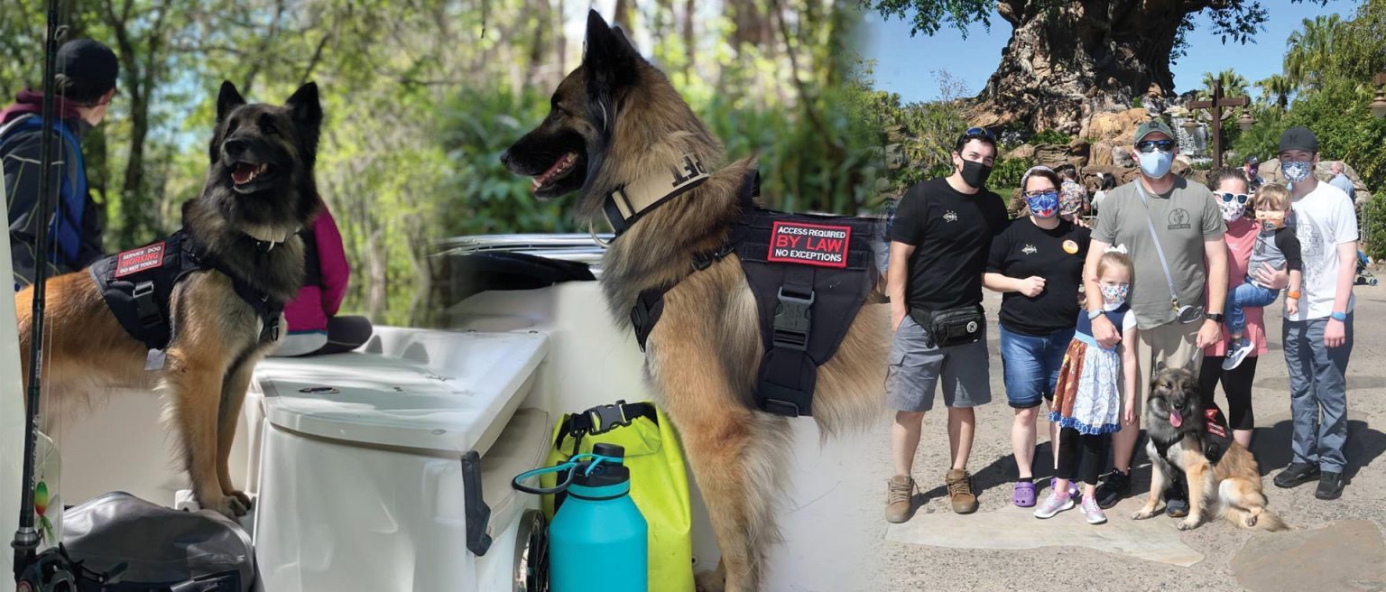 Rescue 22: Meet Jeremy and Dexter - IBVI